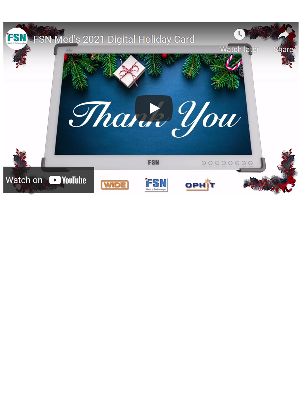 Happy Holidays! - FSN Medical Technologies